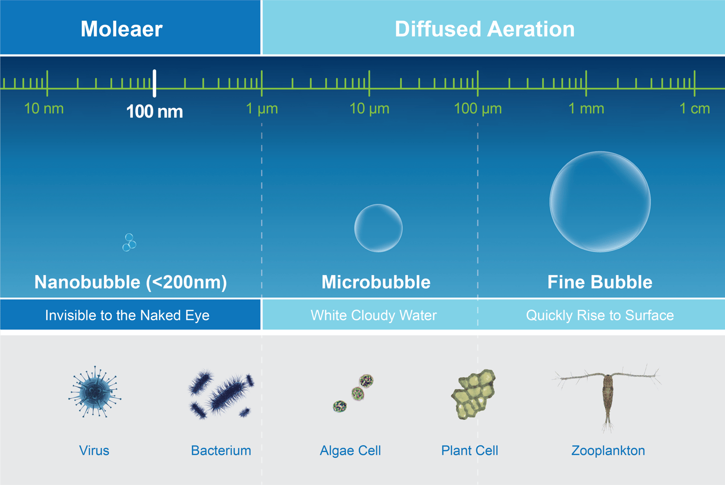 How Nanobubbles are Transforming Water Quality and System Efficiency in RAS